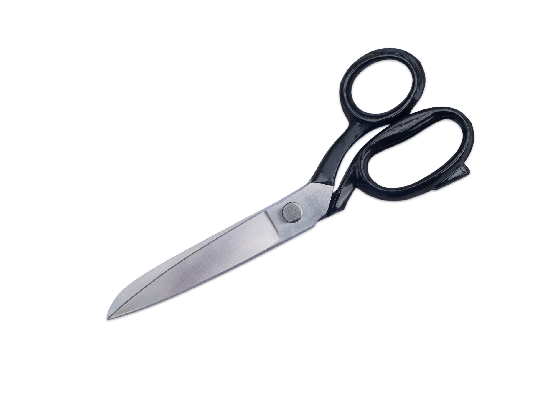 Scissors – Loewenmesser